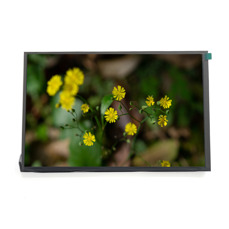 Industrial Control 10.1 Inch High Brightness LCD Display 1920x1200 ...